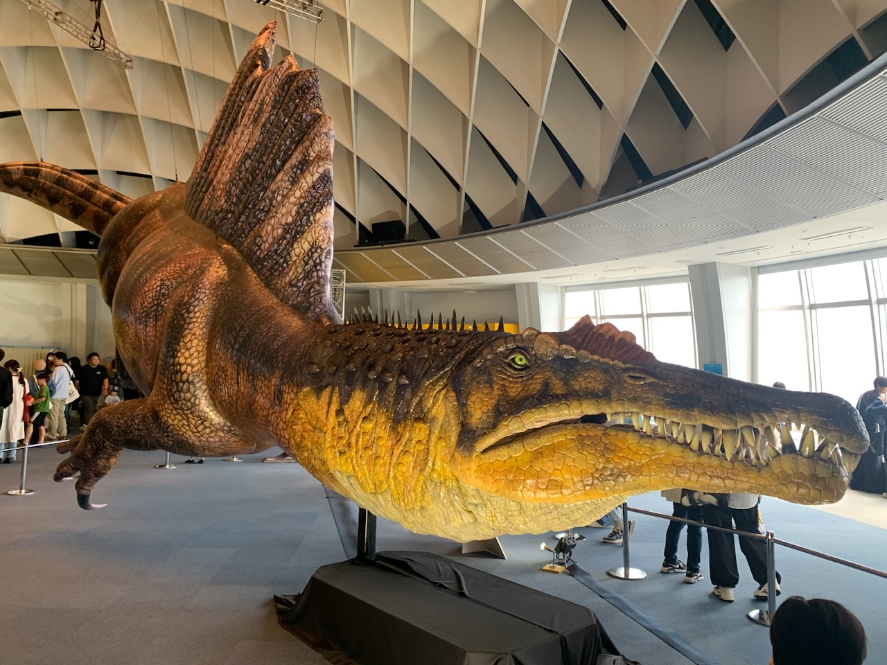 近代格闘技vsT-REX？！ | 格闘技 初心者・ダイエット・フィットネスジム トイカツ道場